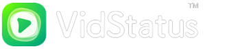 VidStatus